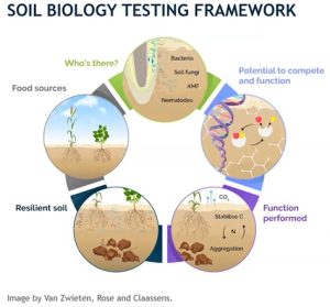 Soil biology: Under the microscope - Technical fact sheet – Soil CRC