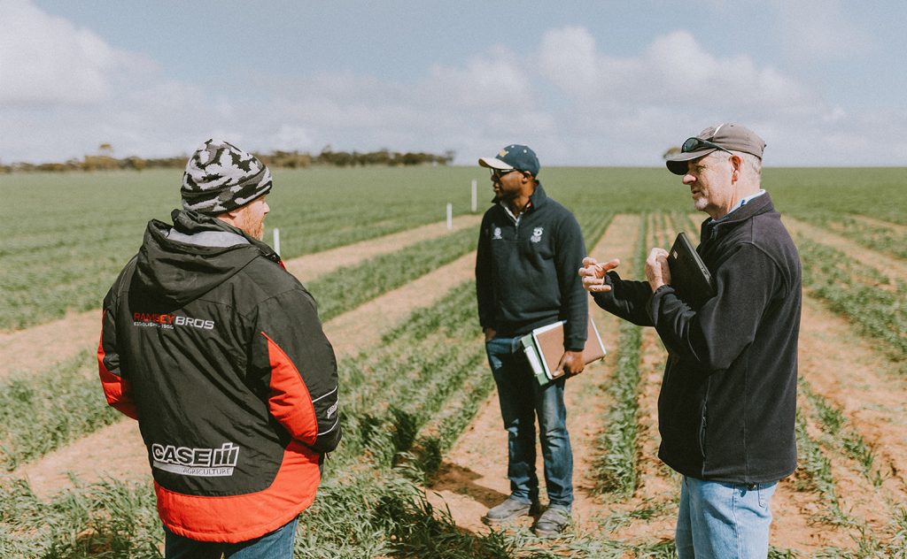 Overcoming soil constraints in highly calcareous soils – Soil CRC