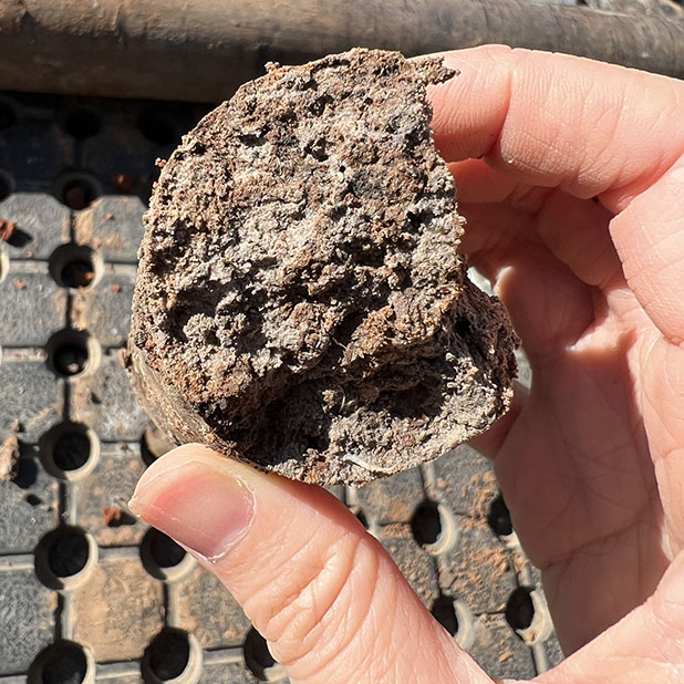 Diagnosis frameworks for multiple and complex soil constraints – Soil CRC