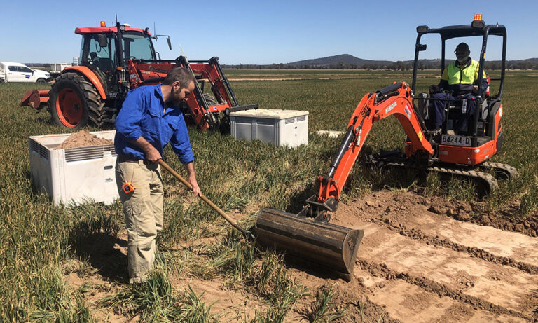 Addressing complex soil constraints - Research findings fact sheet ...