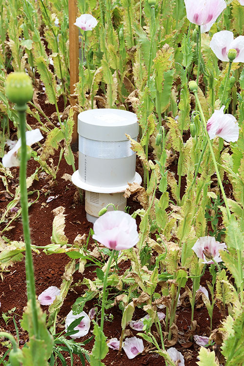 Smelling soil: eNose development – Soil CRC